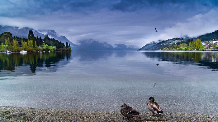 Новая Зеландия: отдых в Новой Зеландии, виза, туры, курорты, отели и отзывы